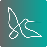 Flying Gem Consulting